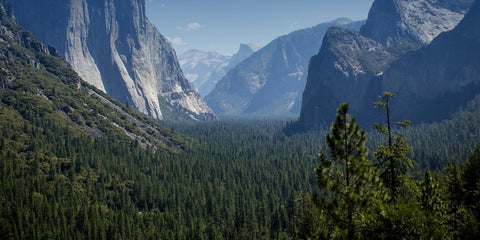 Probiorinse Canada Probiotic Nasal and Sinus Rinse